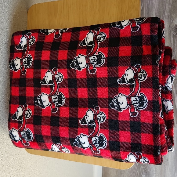 Berkshire | Bedding | Peanuts Charlie Brown Snoopy Velvet Soft Throw ...